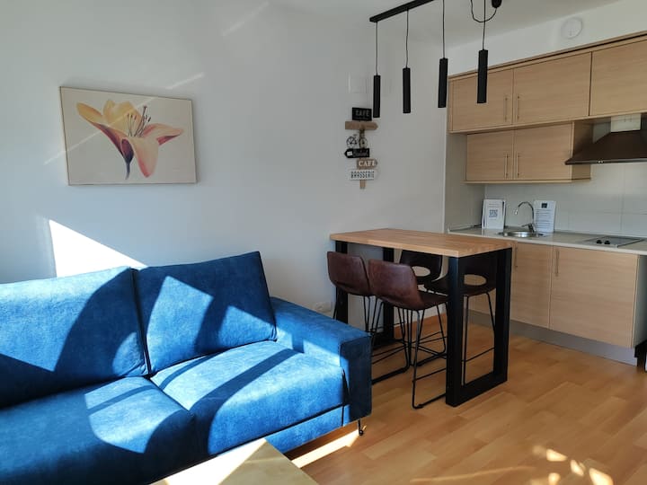 Snowsight Appartment 4p+parking - Sierra Nevada