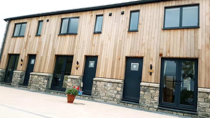 Elm At The Dutch Barn - Chepstow