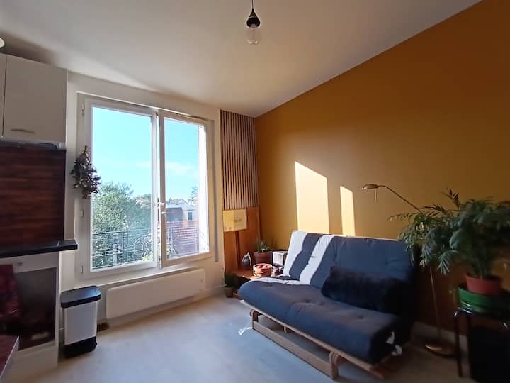 Appartement Lumineux à Montreuil - Montreuil