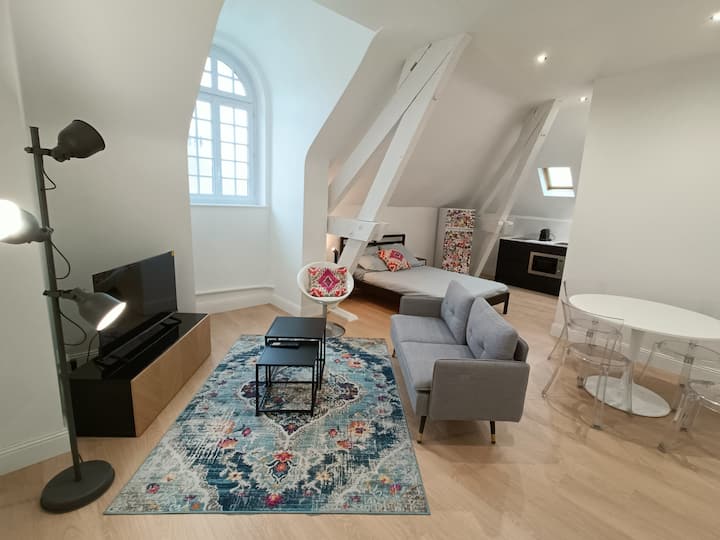 Studio Chic Hypercentre Historique, Parking - Olivet