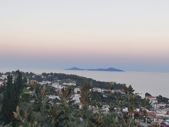 Kitrino Spiti Best View Ecovilla - Alónnisos