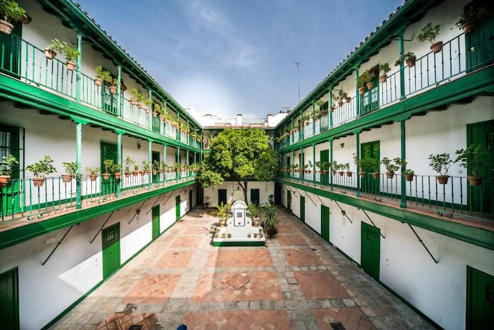Alcázares Sevilla Urban - Sevilla