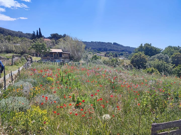 Cabane Insolite Vue Mer - Le Castellet