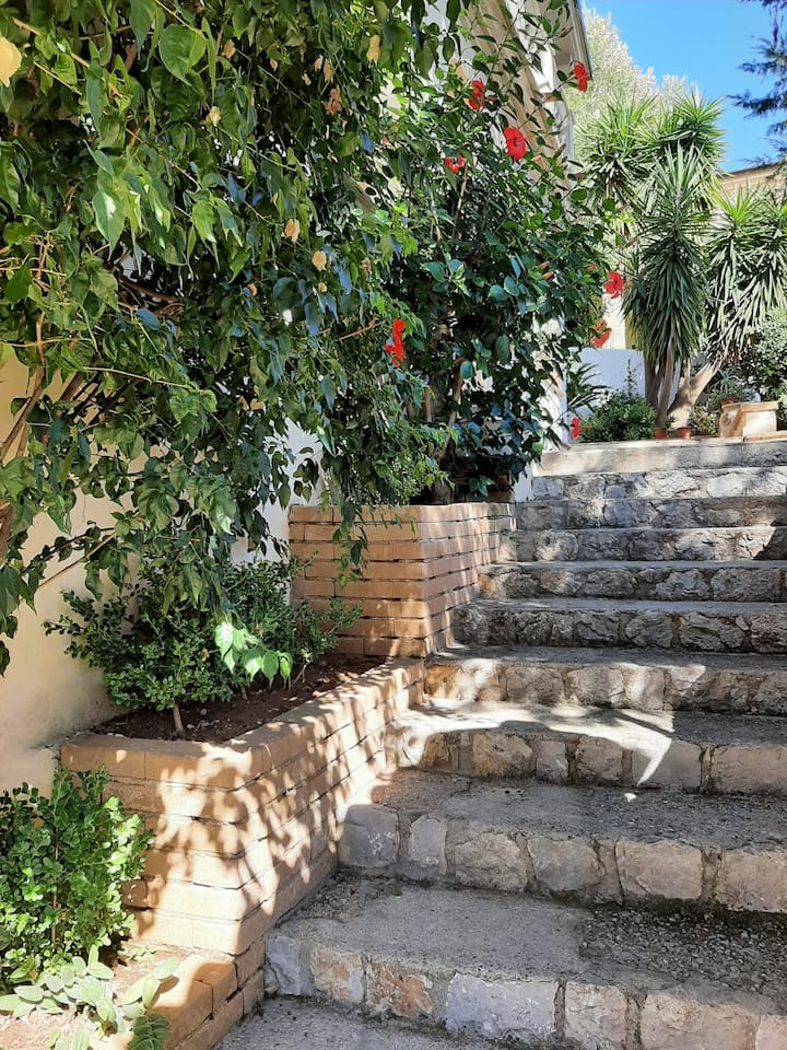 Casette Con Giardino . - Marina di Camerota