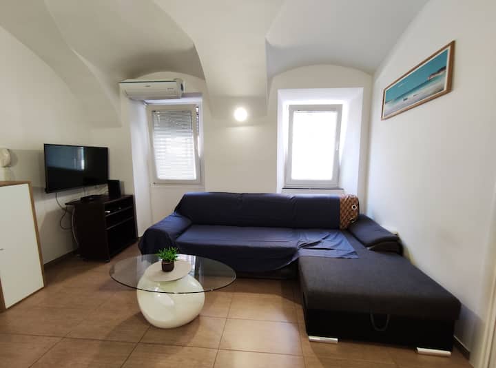 Studio Apartment Sisters 3-4 - Ljubljana