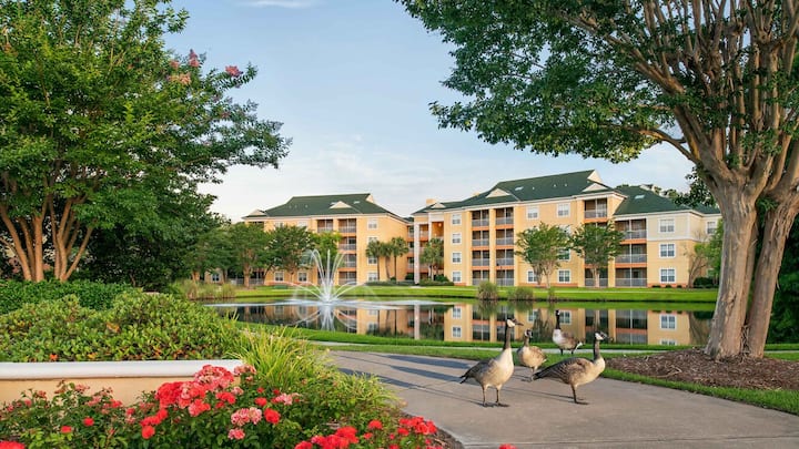 4-stars Sheraton Broadway Resort 1-bed Sleeps 4 - Myrtle Beach, SC