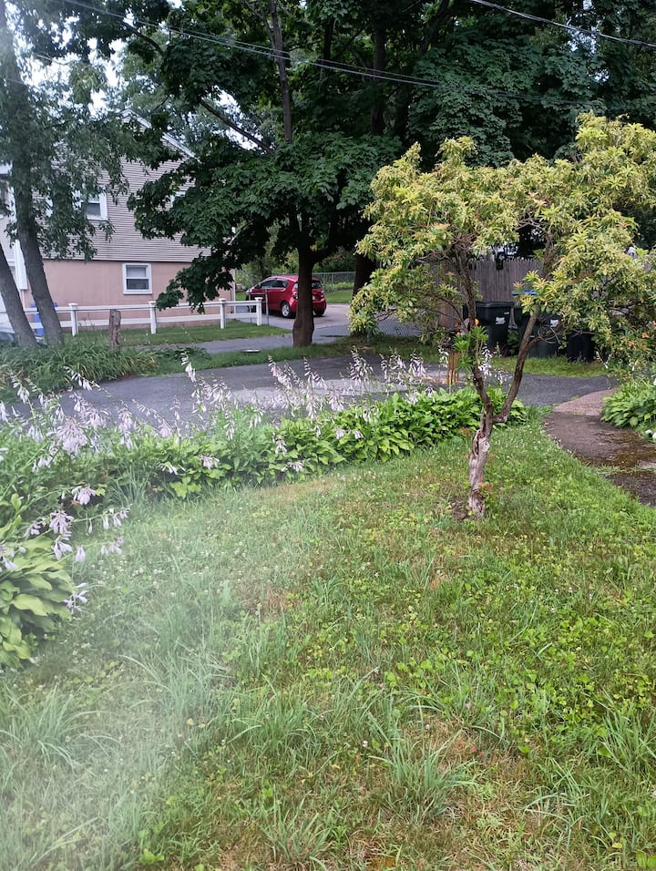 Spacious Discrete Getaway - Brockton