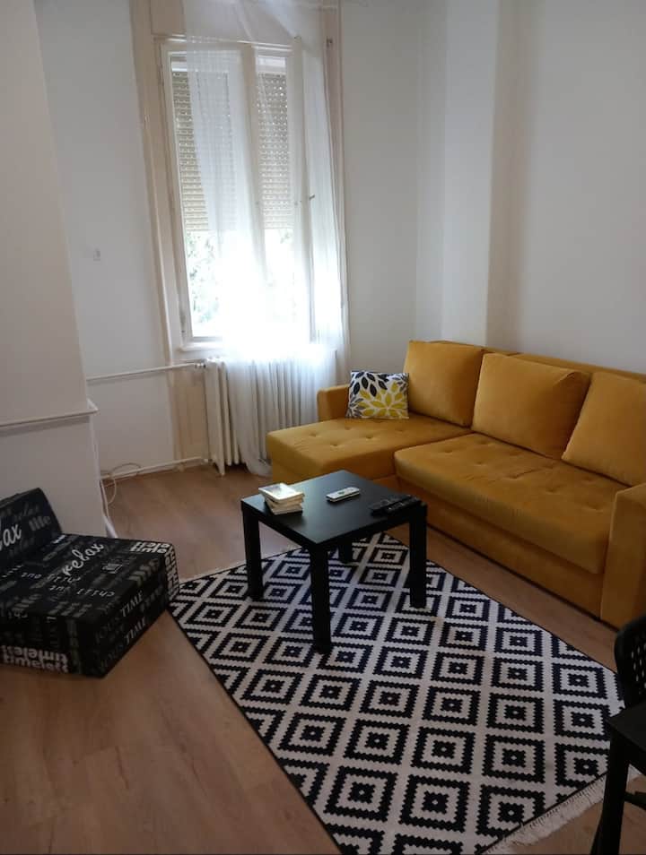 During Exit Festival - Novi Sad