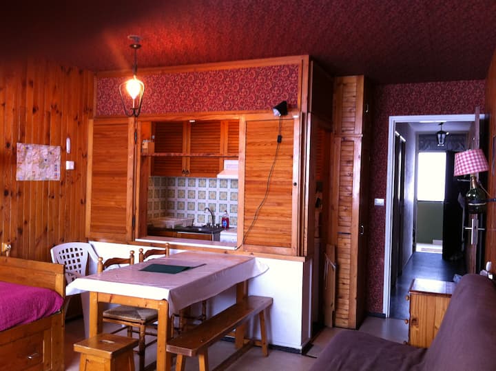 Appartement Au Pied Des Pistes - Mont-Dore