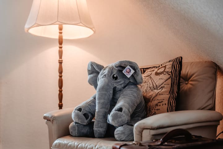 Olifant In Osterode - Osterode am Harz