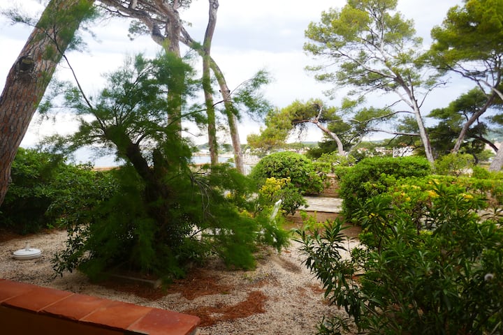Appartement Lumineux Et Frais - Bandol