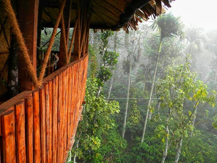 Tree House - Bandipur