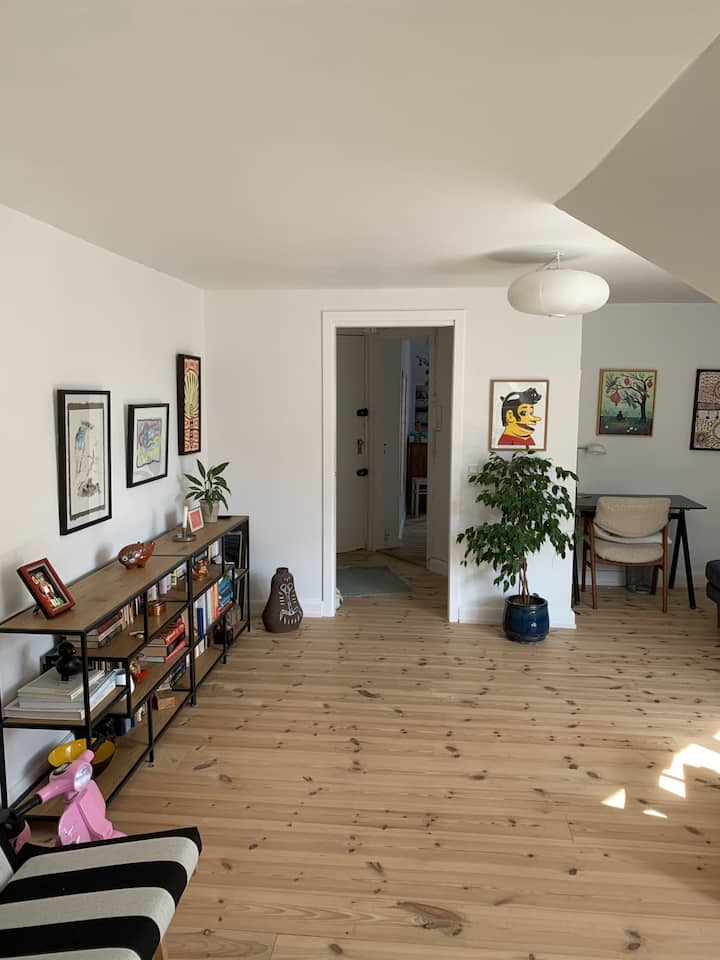 Penthouse With Two Balconies - Copenhagen