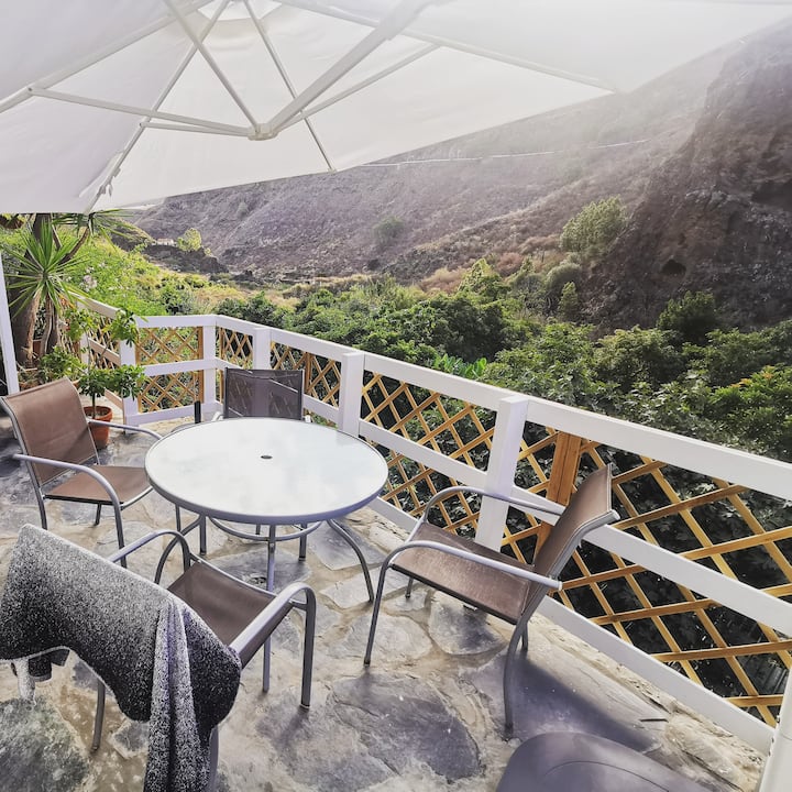 Small Groups - Fruit Jungle - Gran Canaria