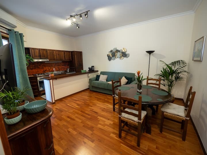 Vatican House Aura - Vatican