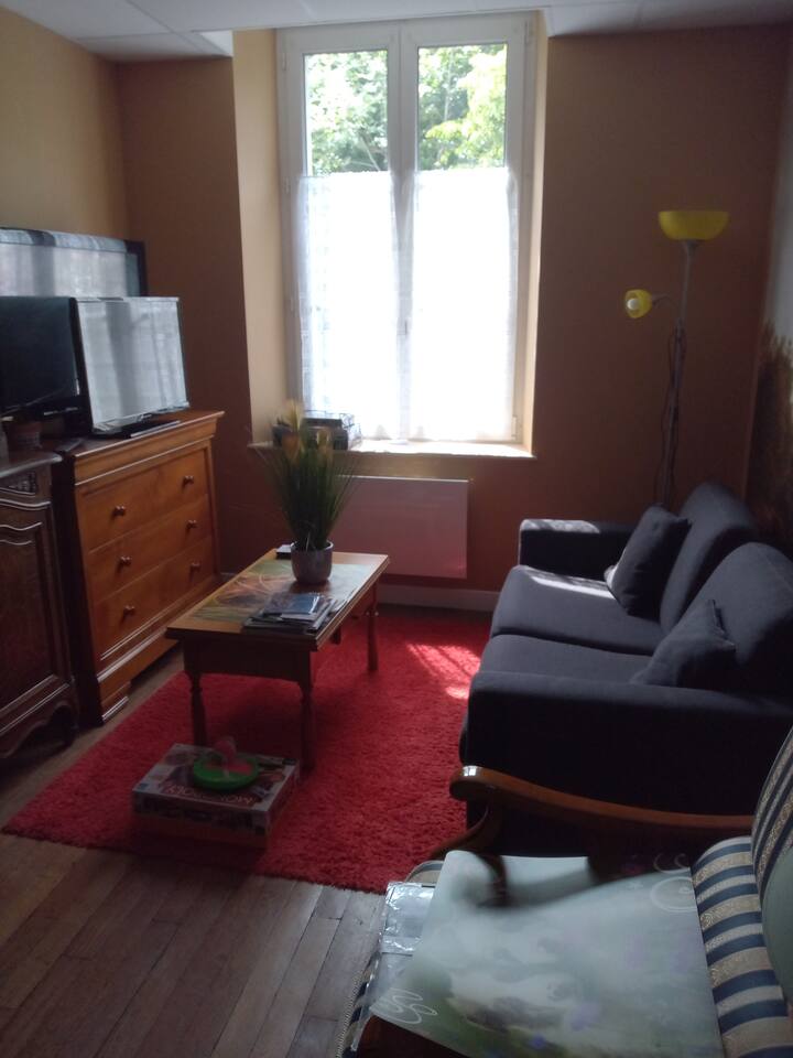 Appartement "Les Fleurs Du Parc" 3* - Vittel