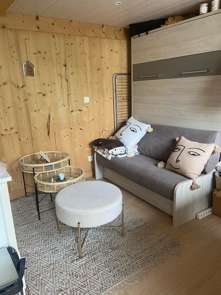 Studio Au Bord Du Lac - Annecy