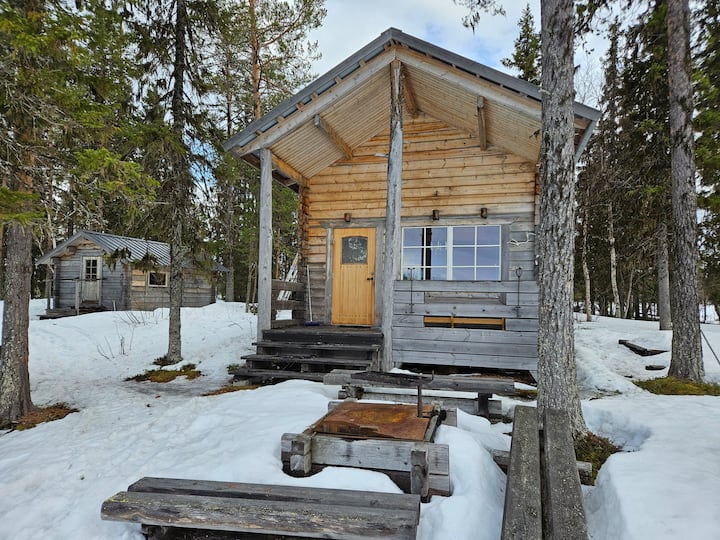 Egen ö I Lapplands Vildmark - Arvidsjaur