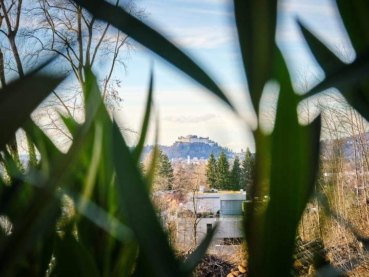 Alpenblick Karl - Salisburgo