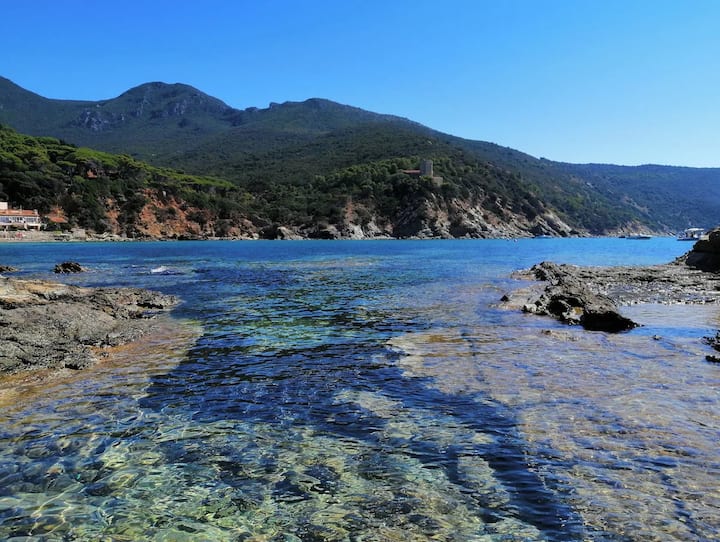 Villa Euforbia Seaview - Orbetello
