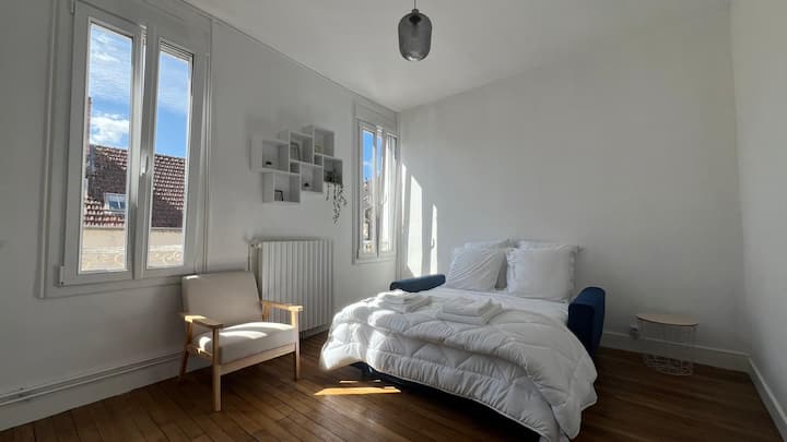Grande Maison Tout Confort  Au Coeur De Nogent - Nogent-sur-Seine