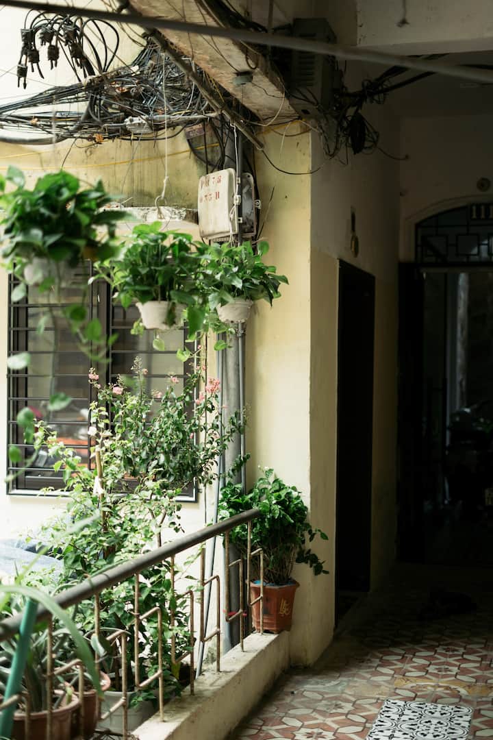 Cozy Home In Old Town Hanoi - Hanoi