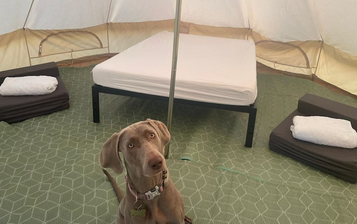 Part Furnished Bell Tent Lathe Barn - Dymchurch