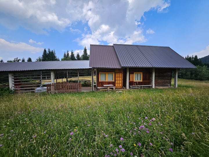 Lesena Udobna Koča Pri Anž'k Na Smučišču Zatrnik - Bled