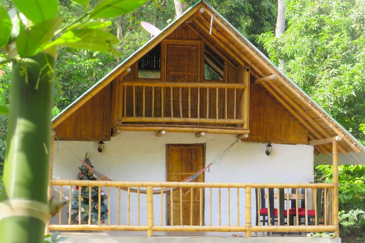 Ecoparque La Motilona- Colibrí - La Plata