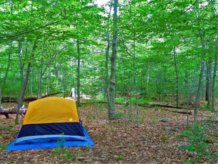 Rock The South Car Camping/tent - Cullman, AL