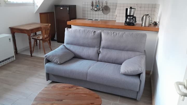 Agréable Logement  1-4p Centre - Obernai