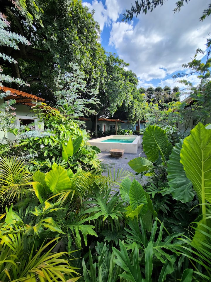 Special Groups 4 Beautiful Hotel Type Rooms - Guadalajara, México
