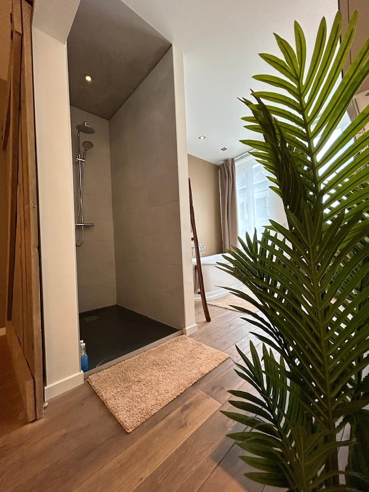 Luxurious Ghent Private Loft With Bath/ac/terrace - Gand