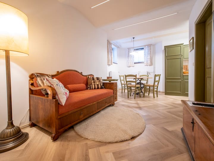 Two-bedroom Apartment (Semi-basement) - Kranjska Gora