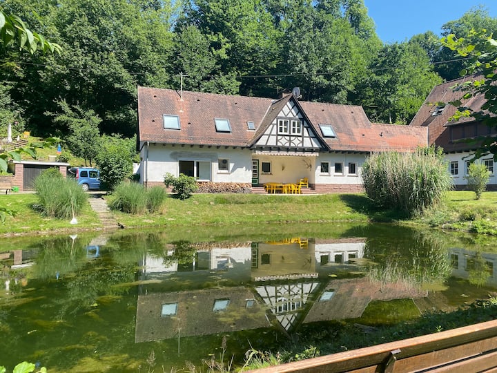 Haus, See, Stille, Natur - Durbach