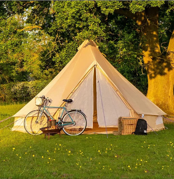 Bluebell Bell Tent - Newport