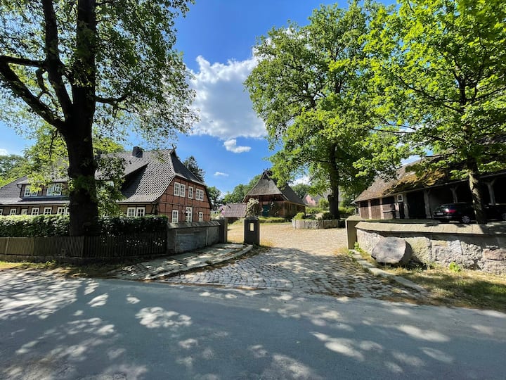 Haverbecker Heide - Bispingen