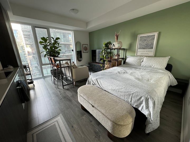 Downtown Toronto Luxury Condo - Toronto