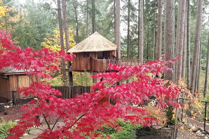 Top 12 Treehouse Hotels & Vacation Rentals In Seattle, Washington ...