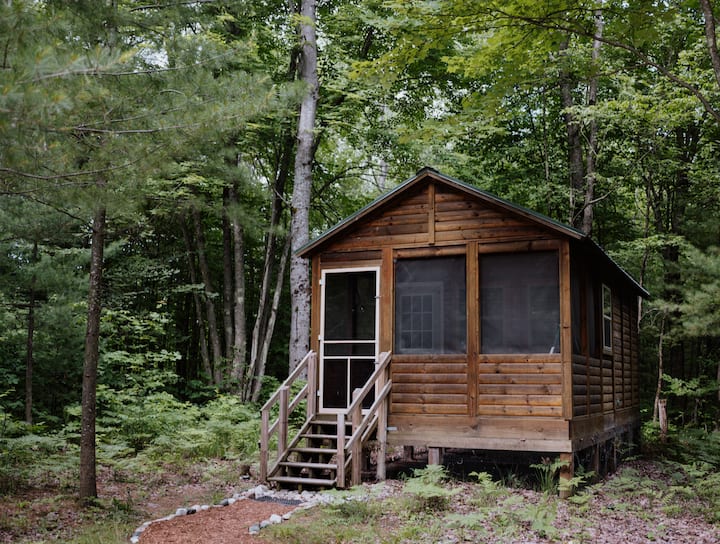 Off-grid Secluded Cabin & Artist Stay - Honor, MI
