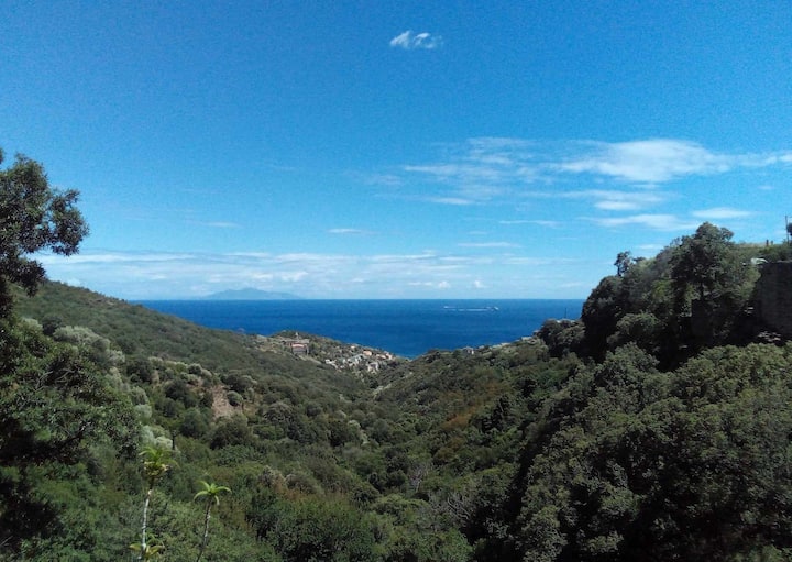 A Castellina - Brando