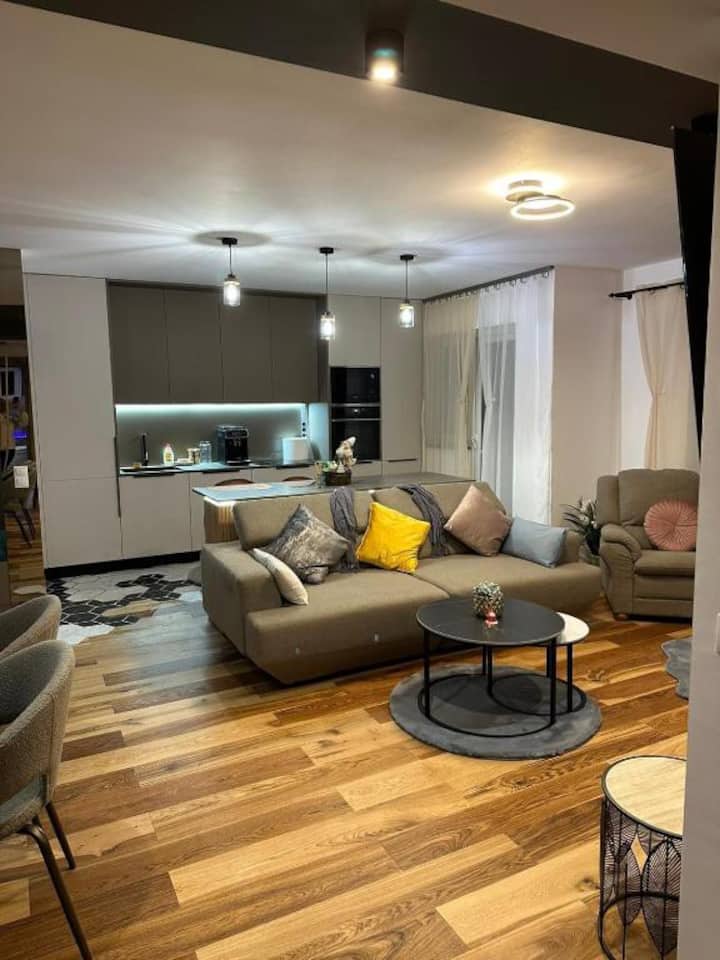 Apartament De Lux André - 錫比烏