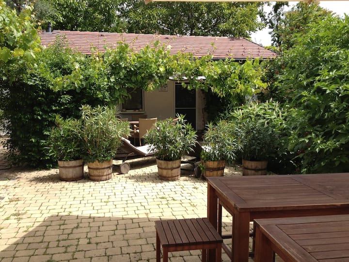 Romantikchalet - Weinrebenhaus In Breitenbrunn - Purbach am Neusiedler See