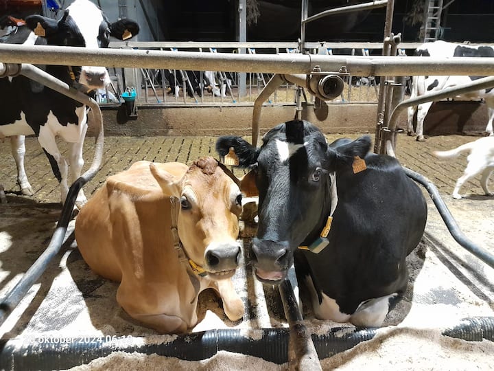 Hof Ter Beke - Belgium