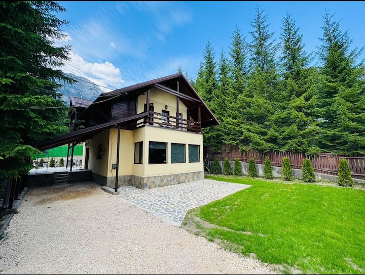 Ollie's Mountain Chalet - Predeal