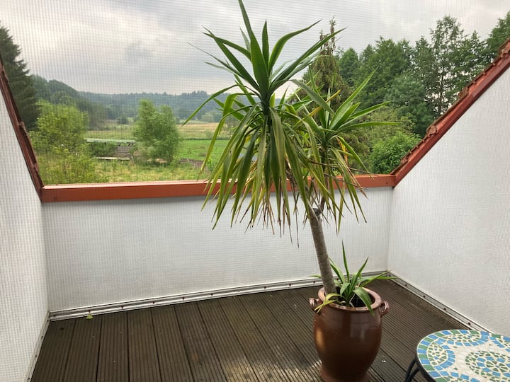 Ein-zimmer-apartment Mit Balkon  Und Küchenzeile - Losheim am See