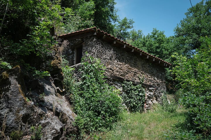 Le Sécadou Dans Les Bois - Aveyron