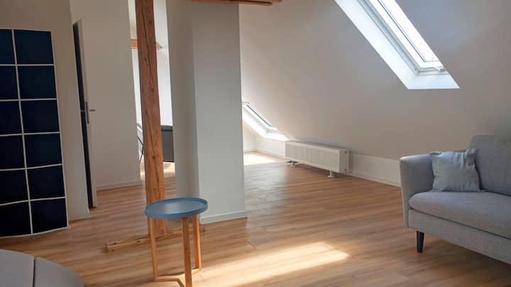 Beautiful Maisonette With Lift - Taunusstein