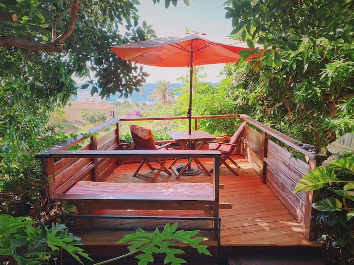 Natursteinhäuschen Unter Palmen Casa Avocado - Valle Gran Rey