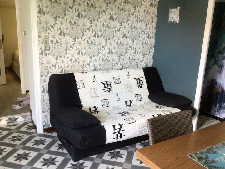 Ravissant F2 à Auch - Auch